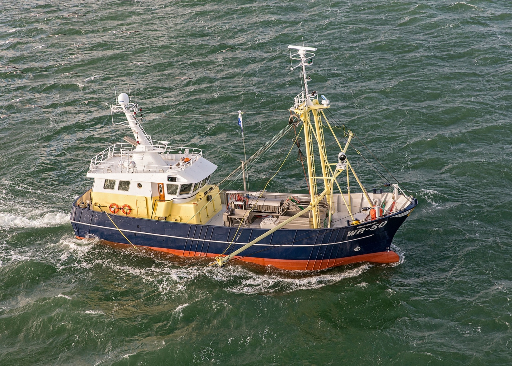 WR 50 'Concordia' - Schepen